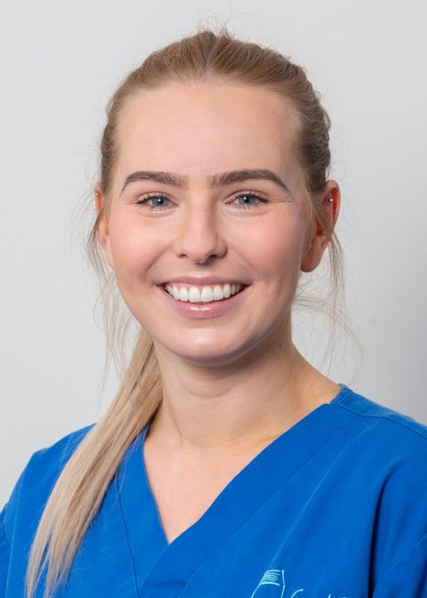 Our team of Dentists and Hygienists